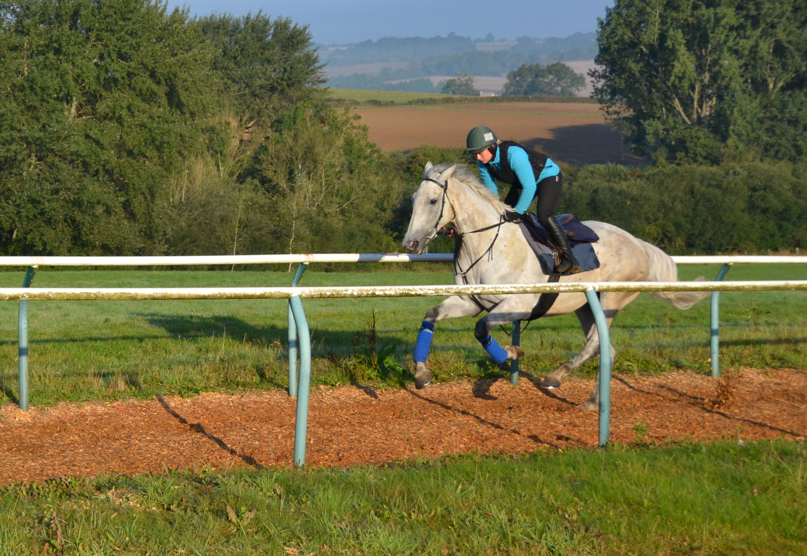 Trainer's Daily Blog 24th September 2021