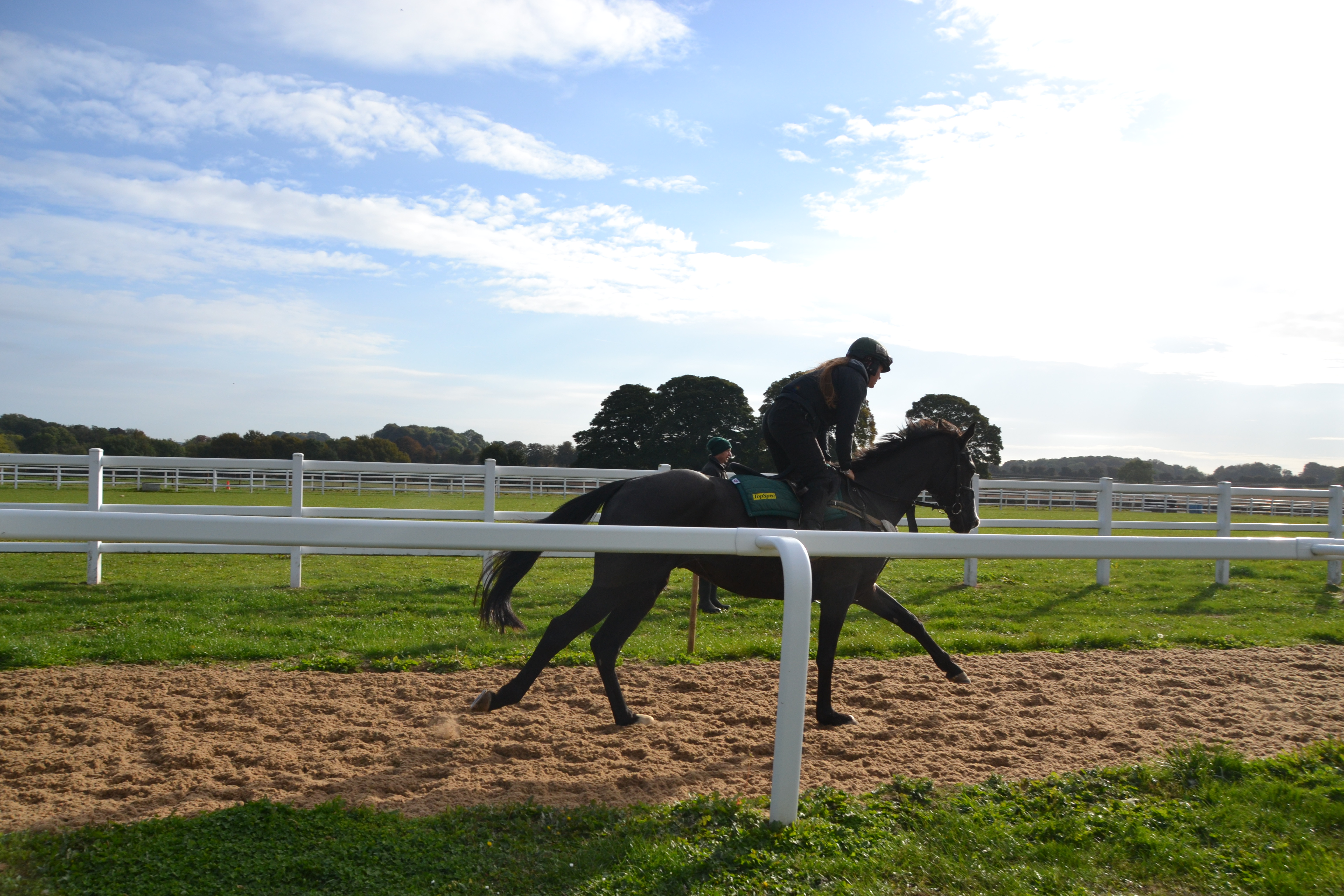 Trainer's Daily Blog 14th October 2022