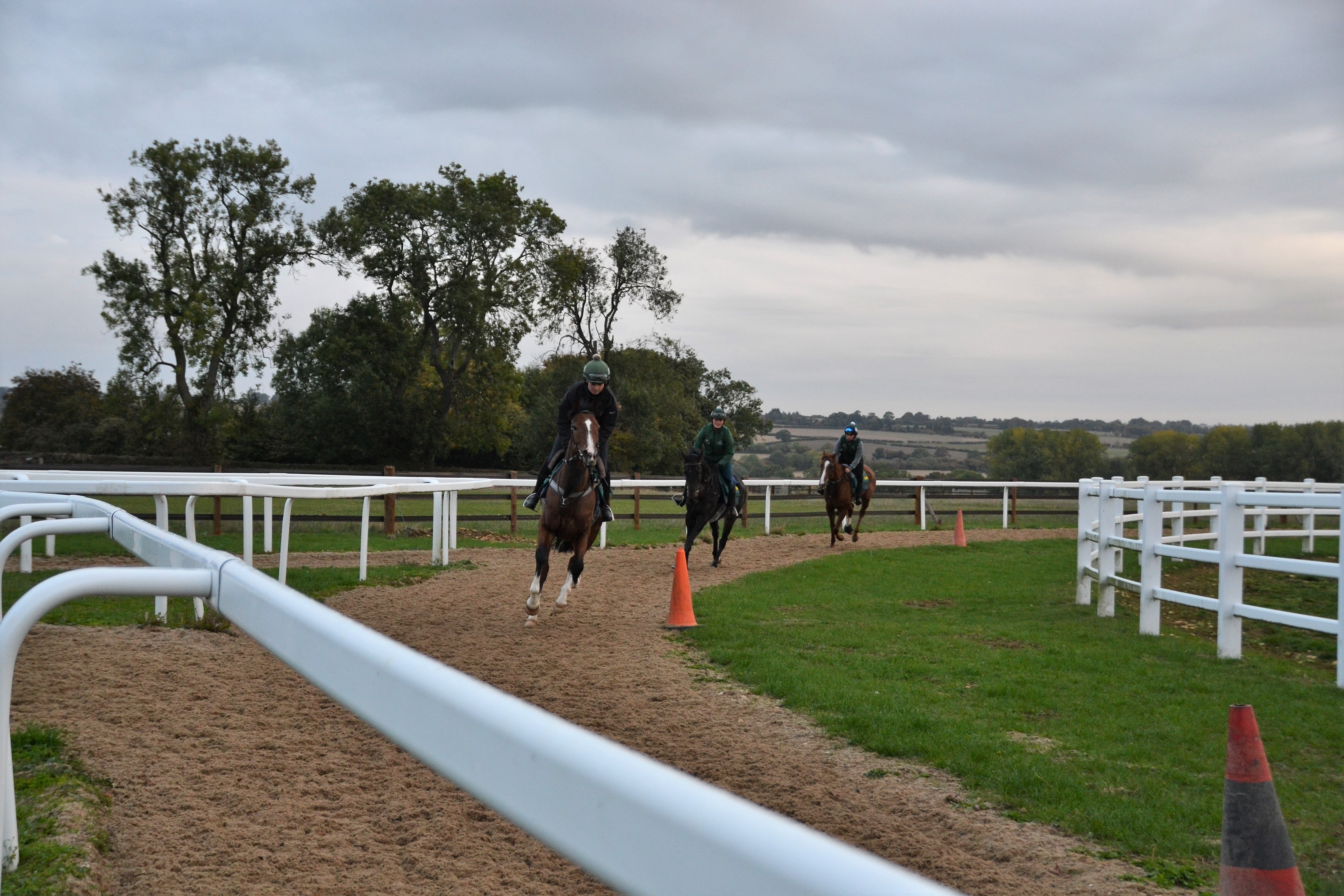 Trainer's Daily Blog 14th October 2022