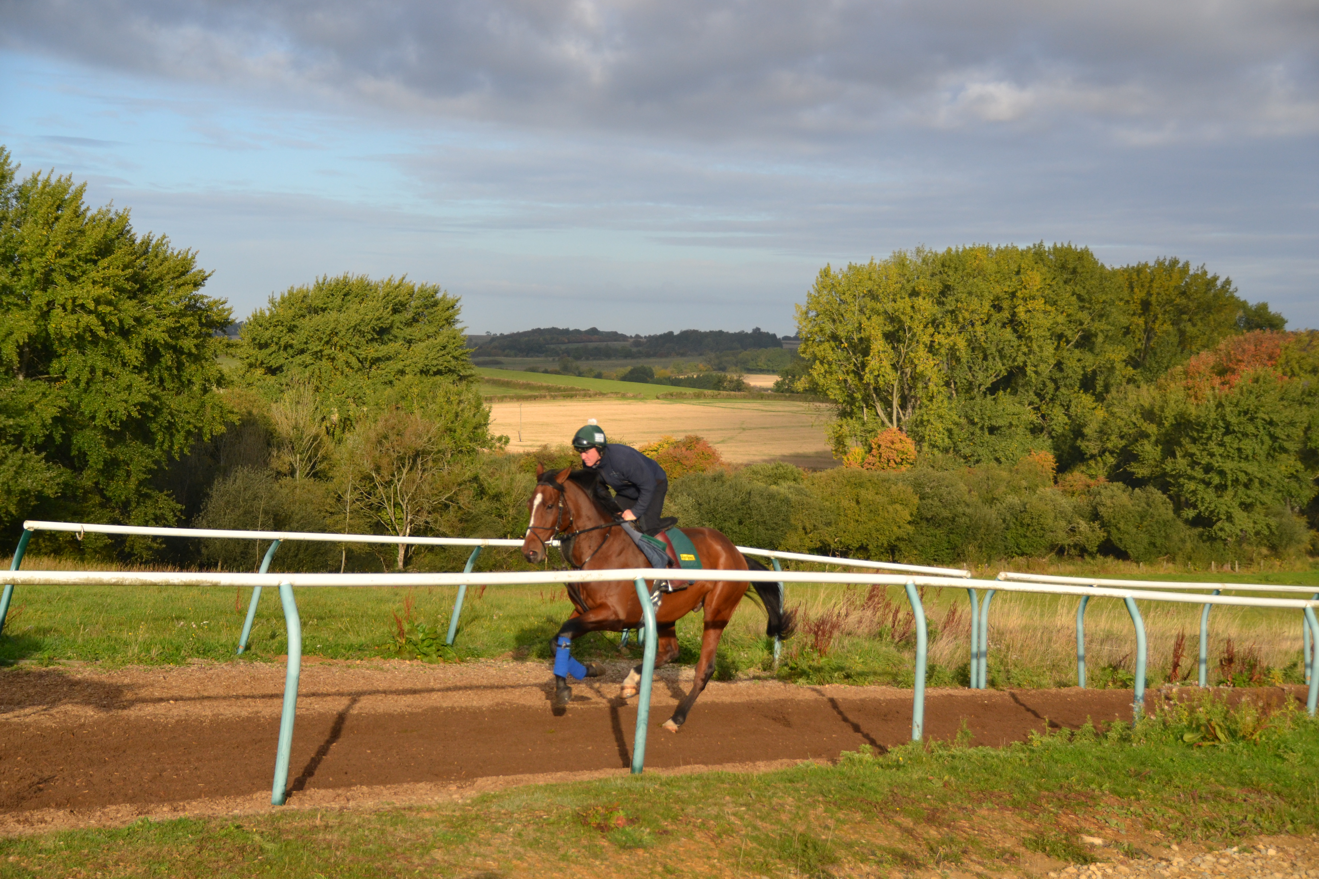 Trainer's Daily Blog 14th October 2022