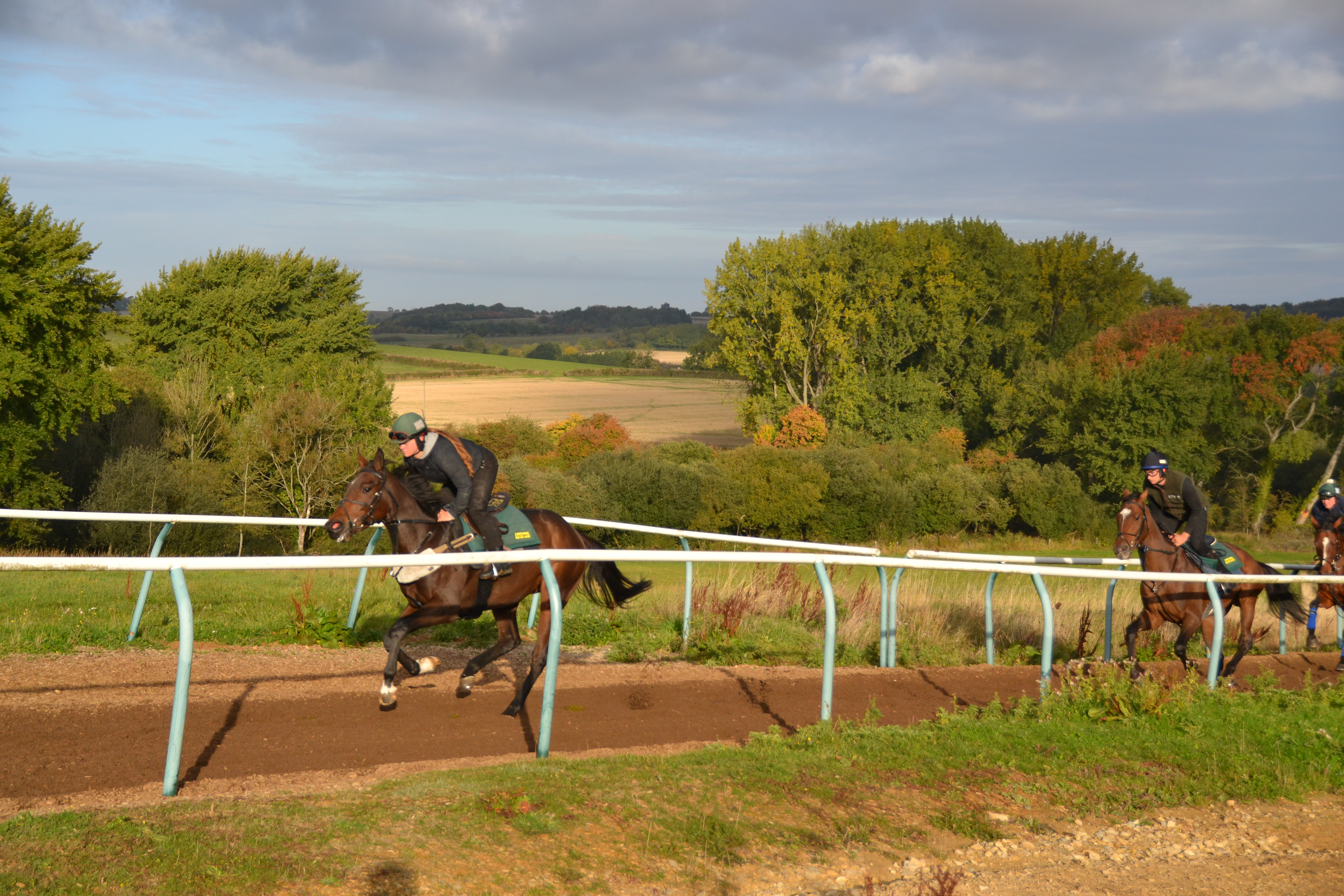 Trainer's Daily Blog 14th October 2022