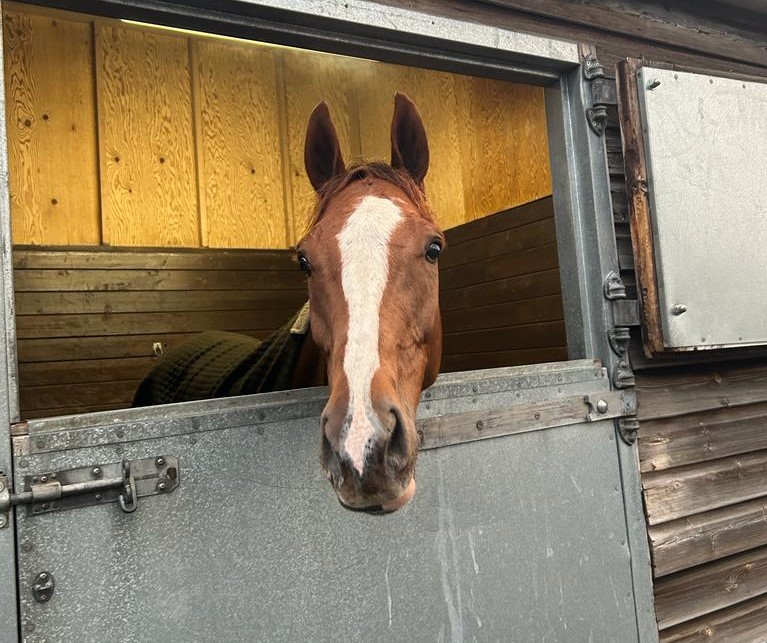 Trainer's Daily Blog 25th October 2022