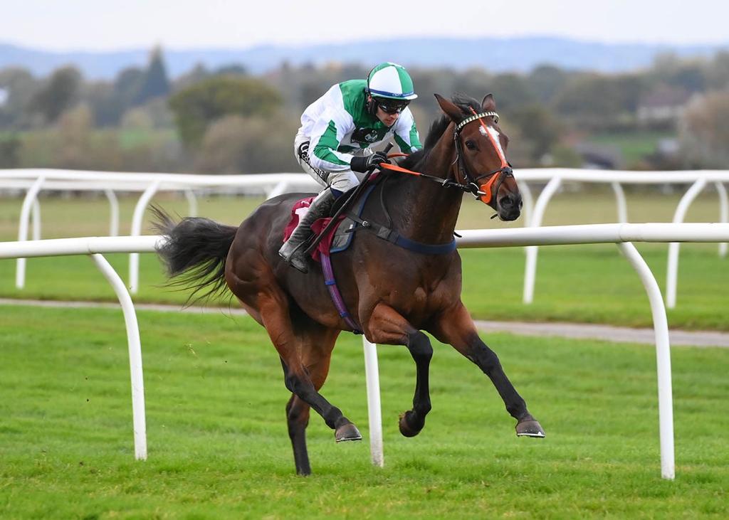 Trainer's Daily Blog 26th October 2022