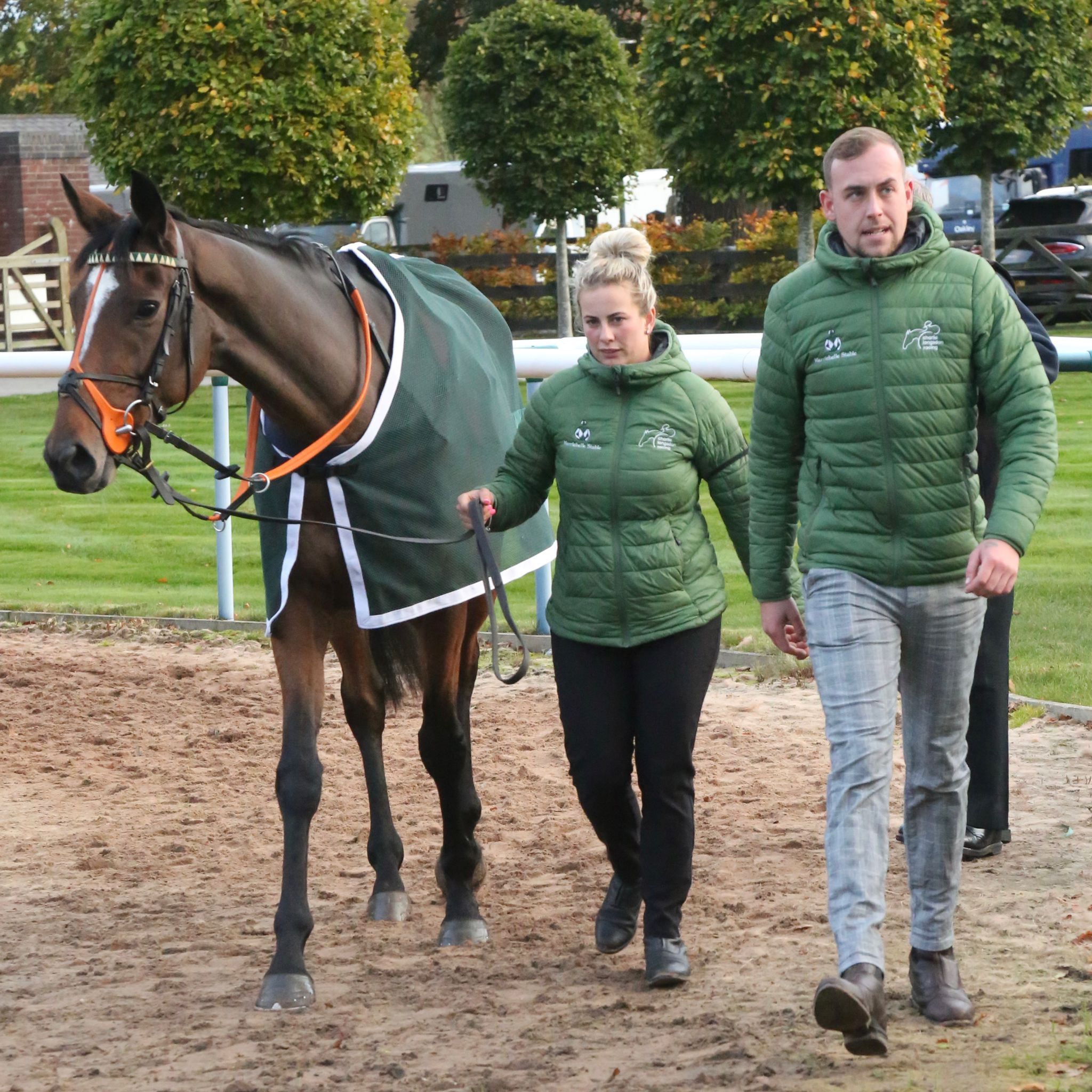 Trainer's Daily Blog 26th October 2022