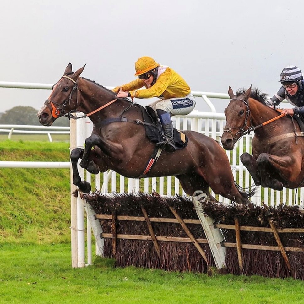 Trainer's Daily Blog 1st November 2023