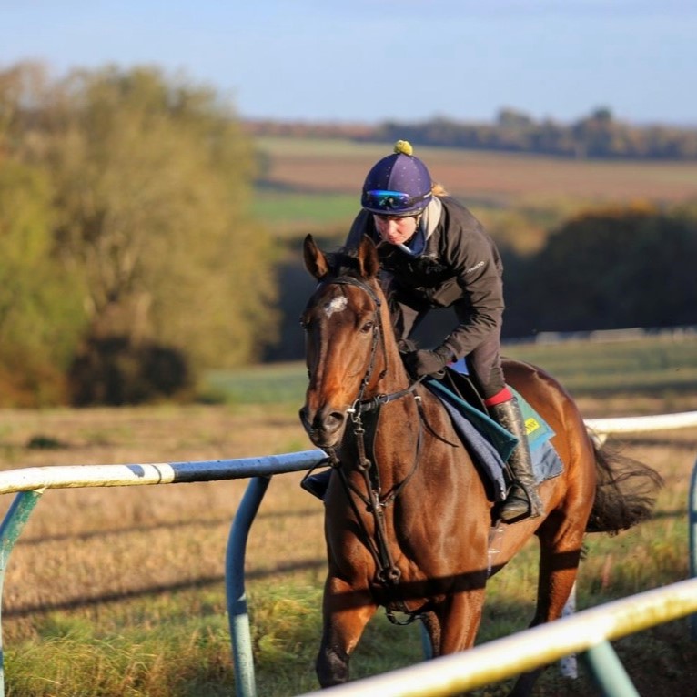 Stable News: Charlie Longsdon Racing, Oxfordshire