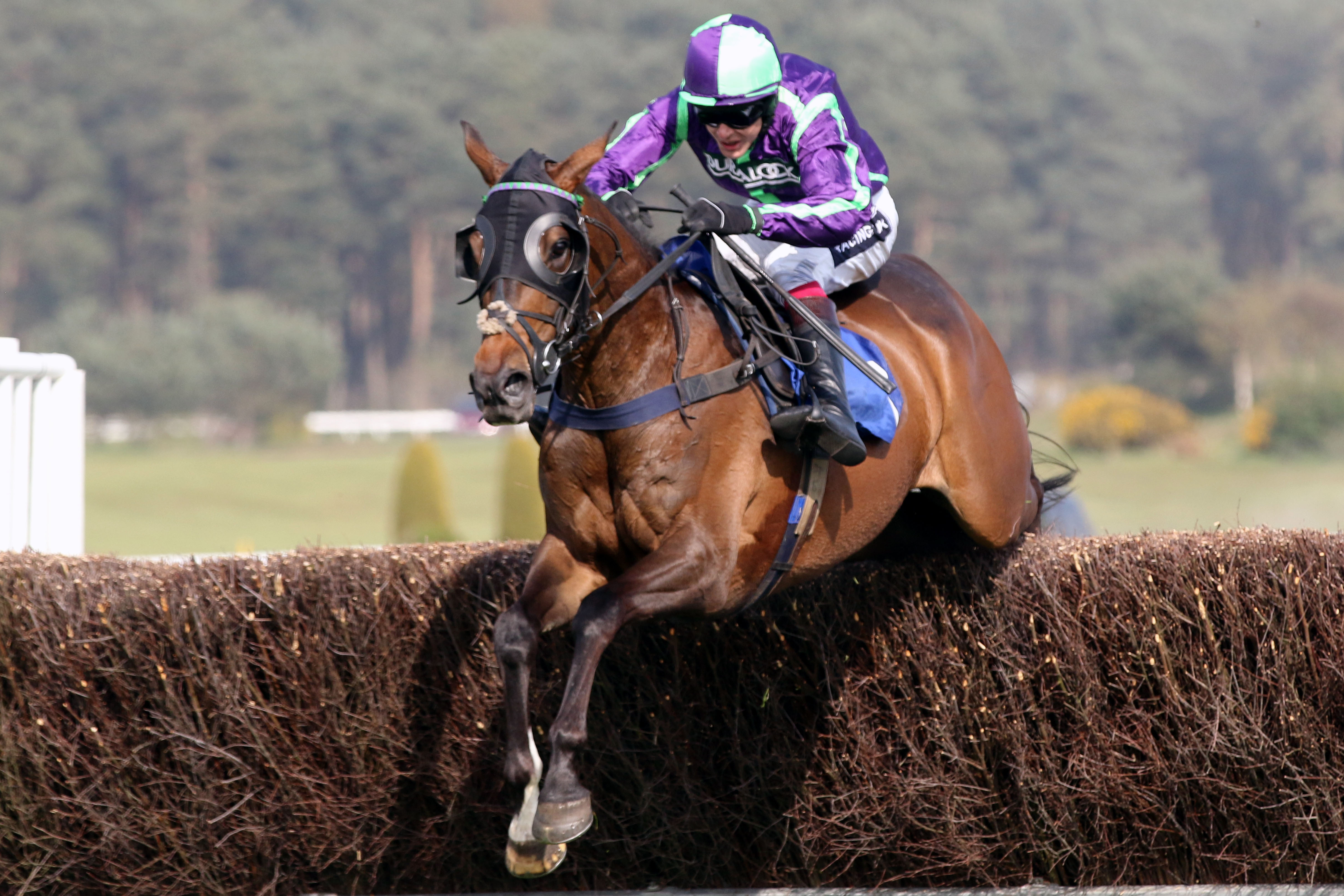 Horses in Training: Charlie Longsdon Racing, Oxfordshire