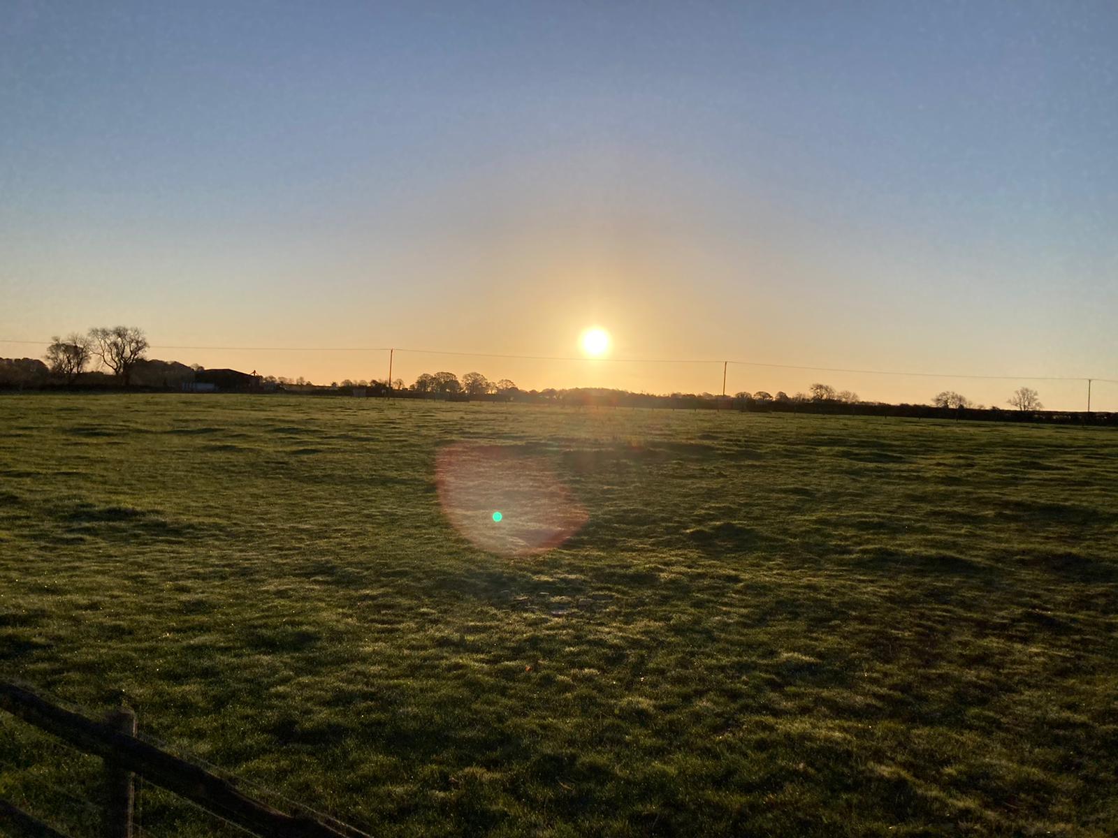 Trainer's Daily Blog 4th November 2020