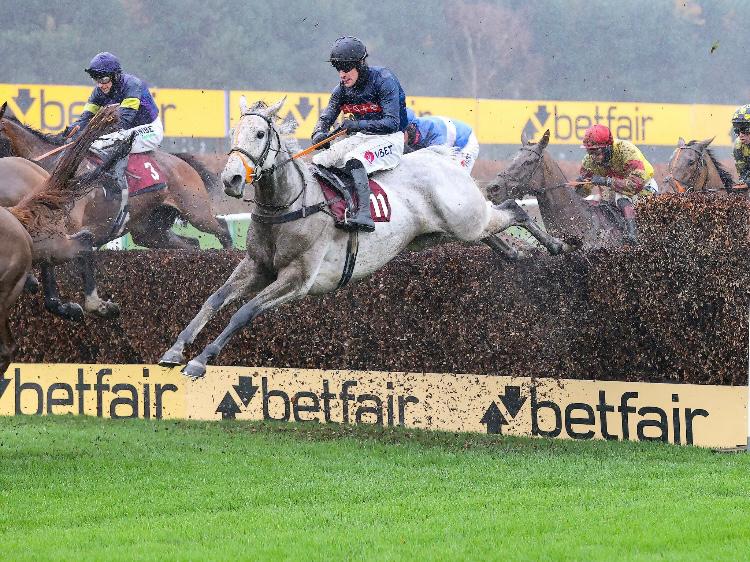 Trainer's Daily Blog 23rd November 2020