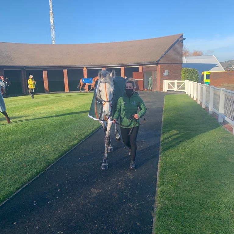 Trainer's Daily Blog 17th March 2021