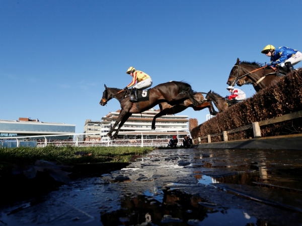 Thoughts on Runners at Musselburgh, Sandown and Taunton Racecourses ...