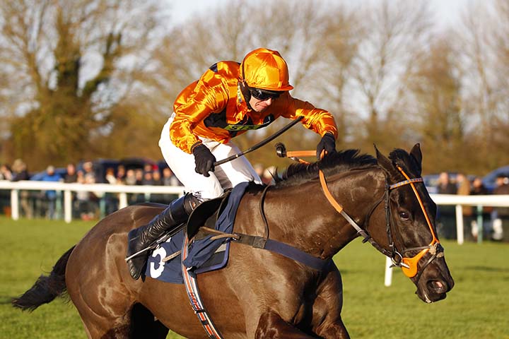 Bestwork wins on Boxing Day at Huntingdon Racecourse for National Hunt ...