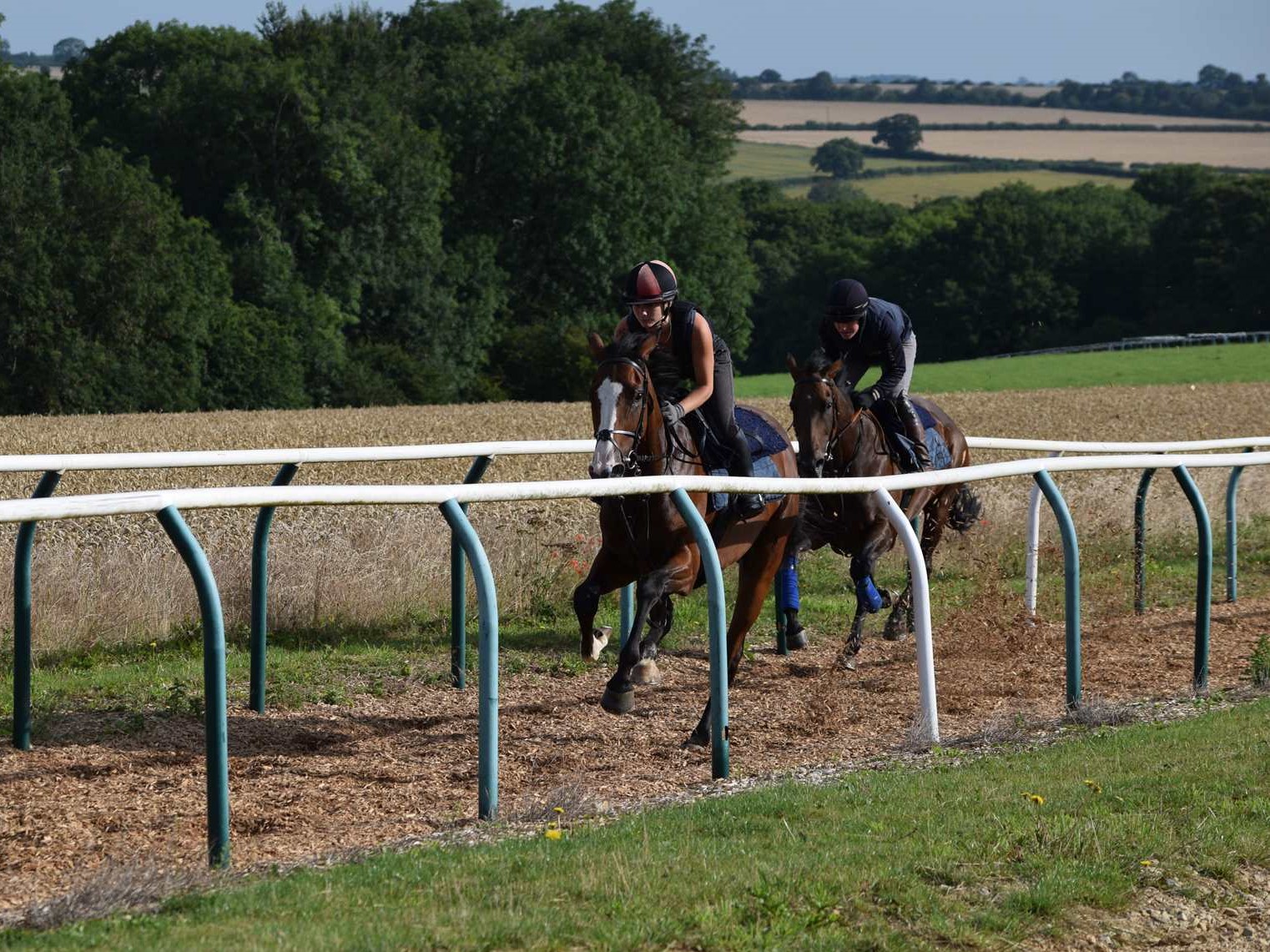 Trainer's Daily Blog 8th August 2019