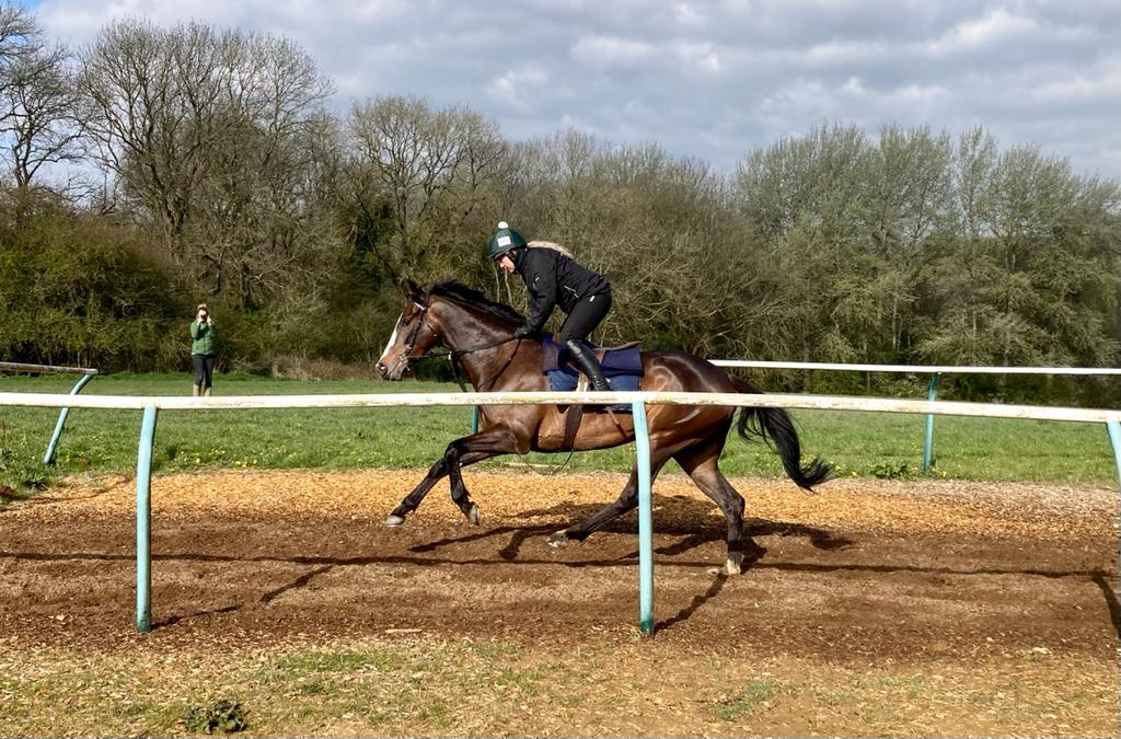 Horses in Training: Charlie Longsdon Racing, Oxfordshire