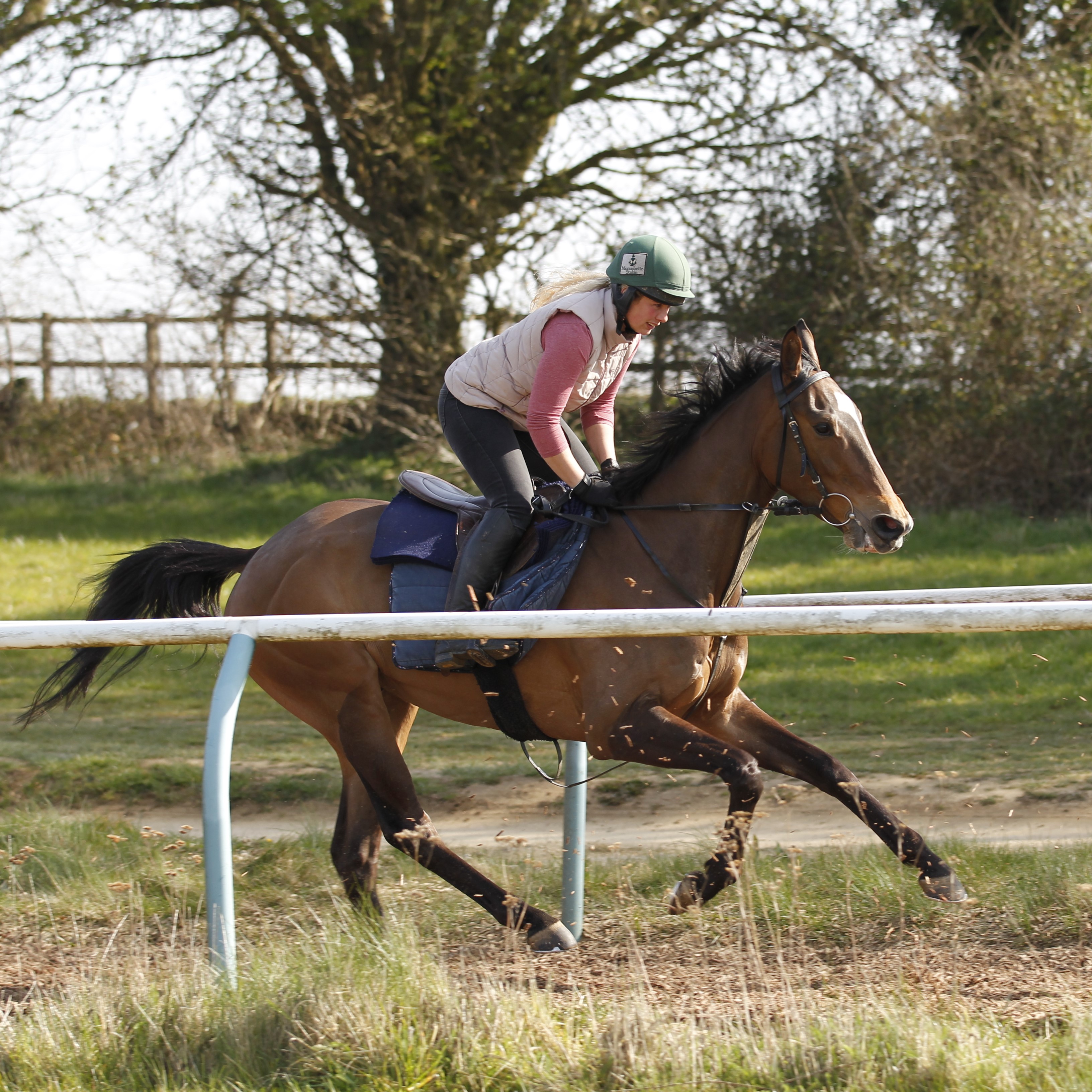Horses in Training: Charlie Longsdon Racing, Oxfordshire