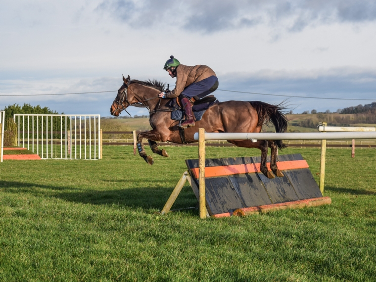 Horses in Training: Charlie Longsdon Racing, Oxfordshire