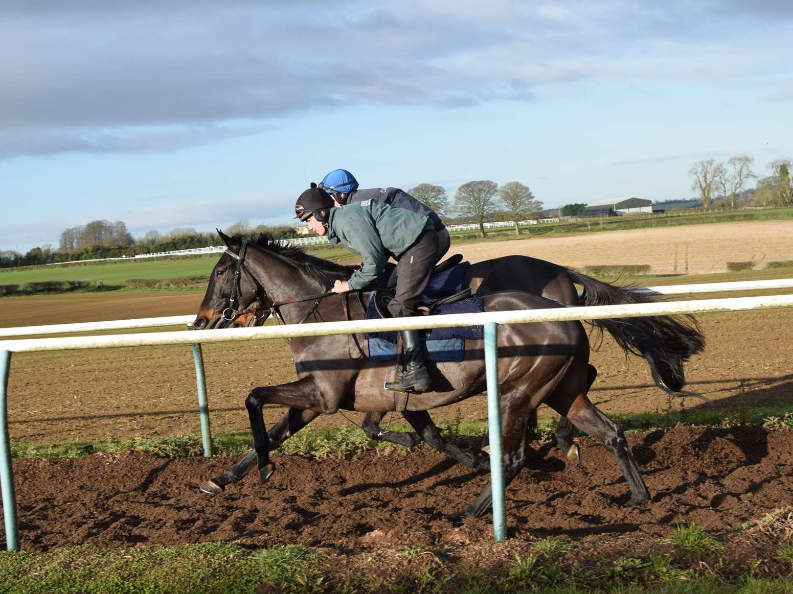 Horses in Training: Charlie Longsdon Racing, Oxfordshire