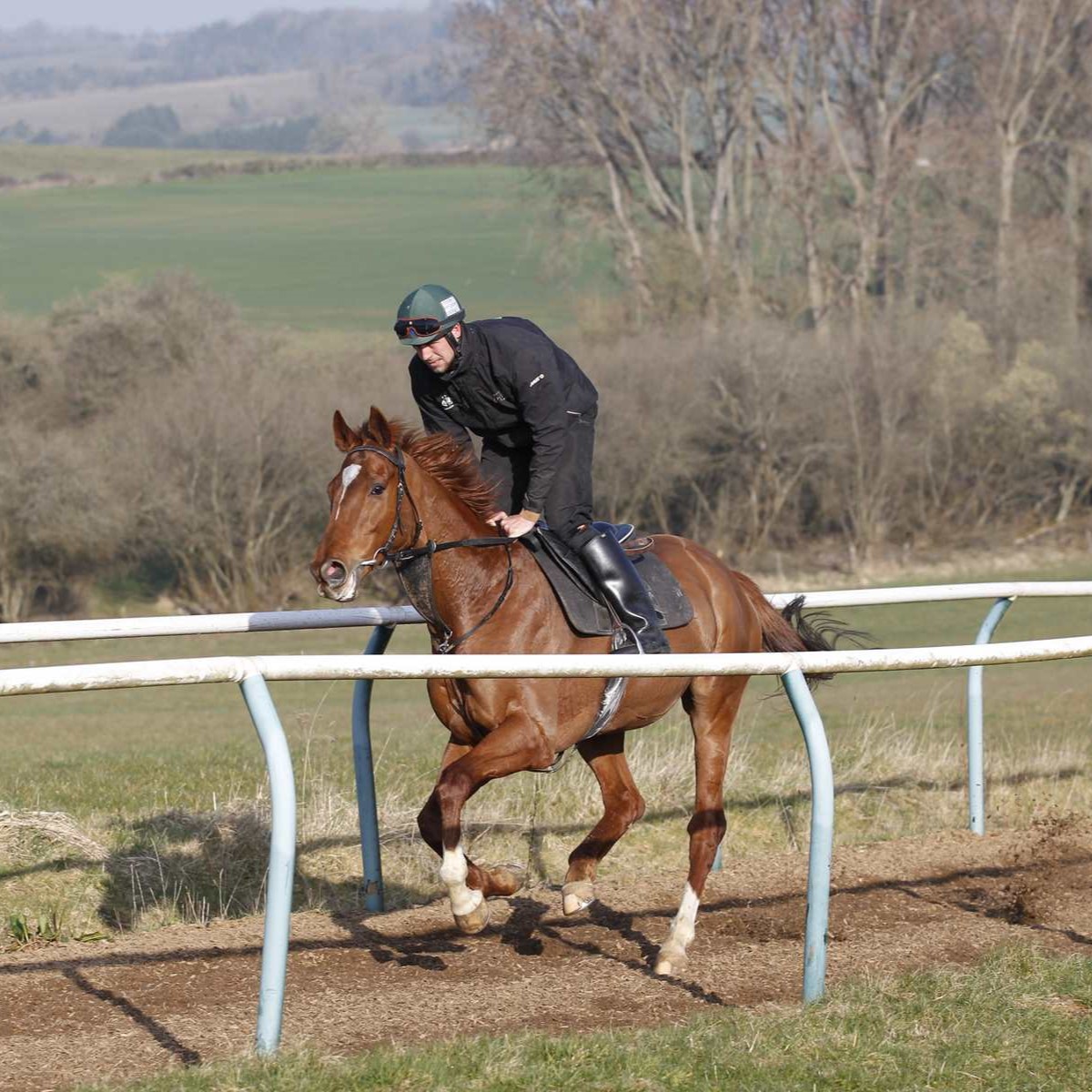 Horses in Training: Charlie Longsdon Racing, Oxfordshire