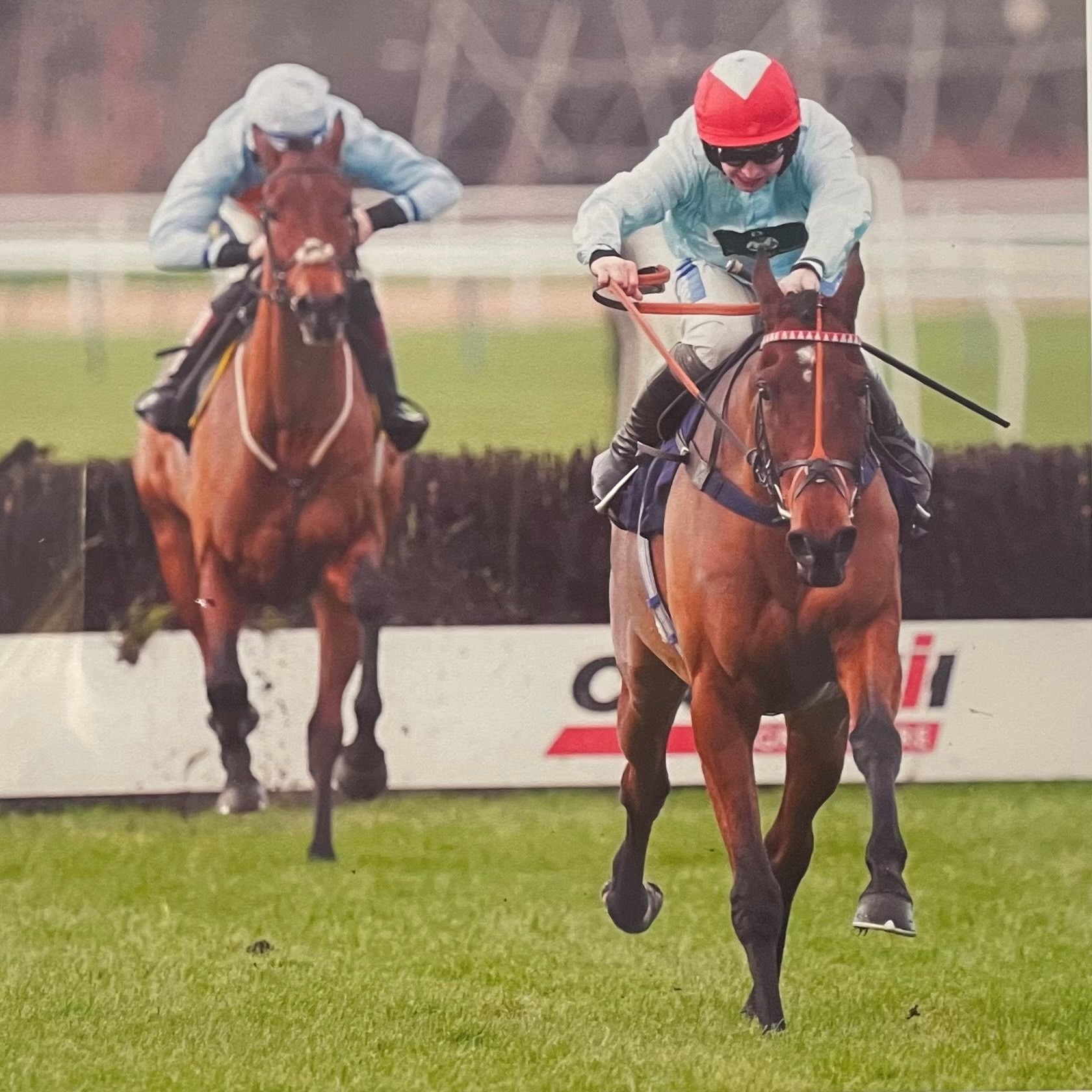 Horses in Training: Charlie Longsdon Racing, Oxfordshire